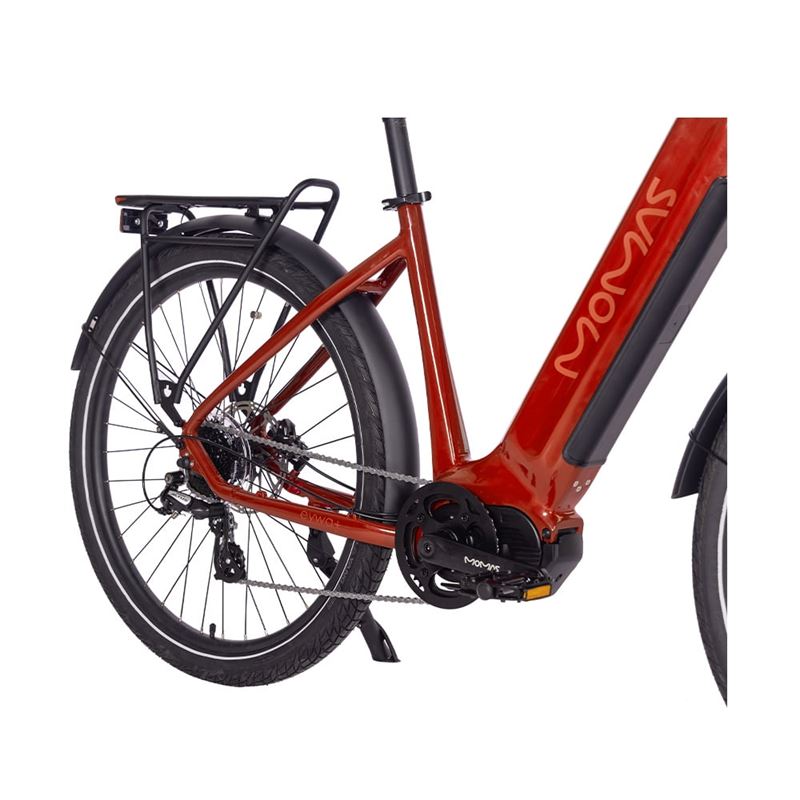 Momas Eywa+ | E-Bike | E-Wheels®