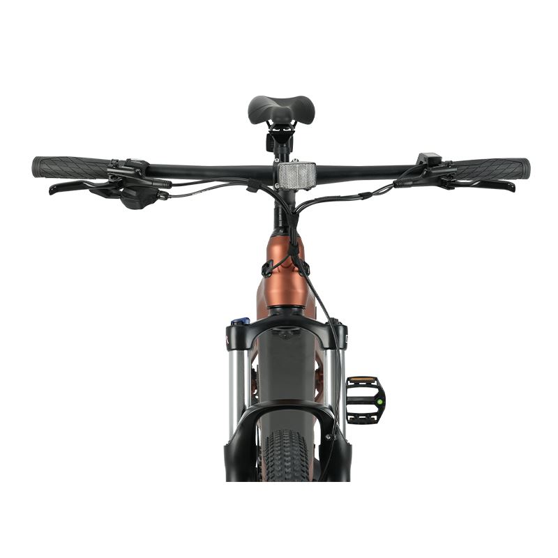 Momas Summit | E-Bike | E-Wheels®