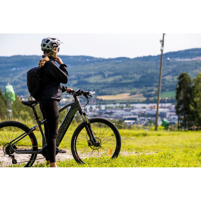 Momas Ultimate+ | E-Bike | E-Wheels®